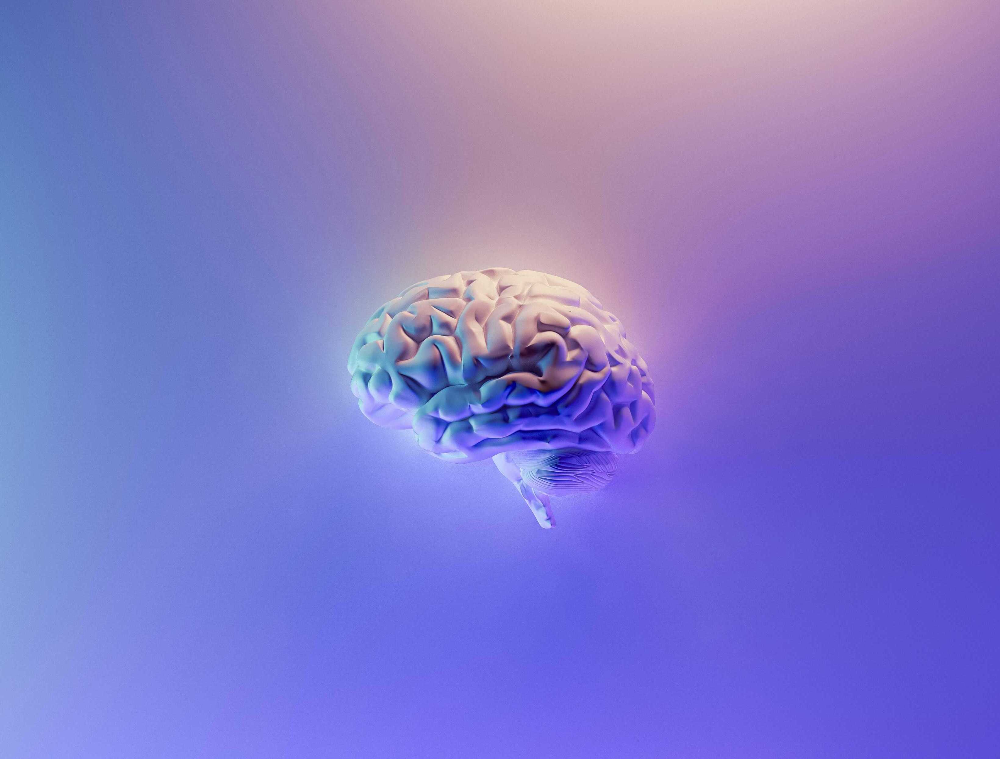 Phosphatidylserine The Forgotten Fat That Supports The Brain – Revive ...